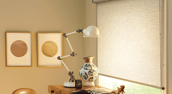 Modern Roller Shades: Revolutionary Design Meets Exquisite Style ...